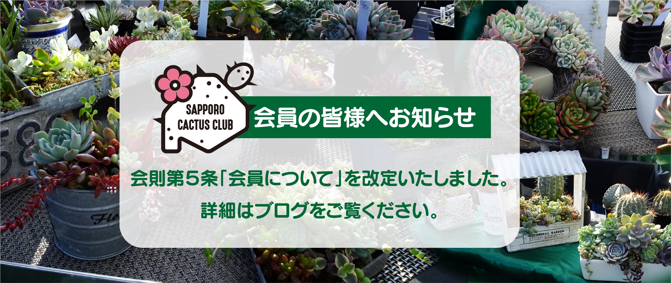 お知らせ | sapporocactusclub's Ownd
