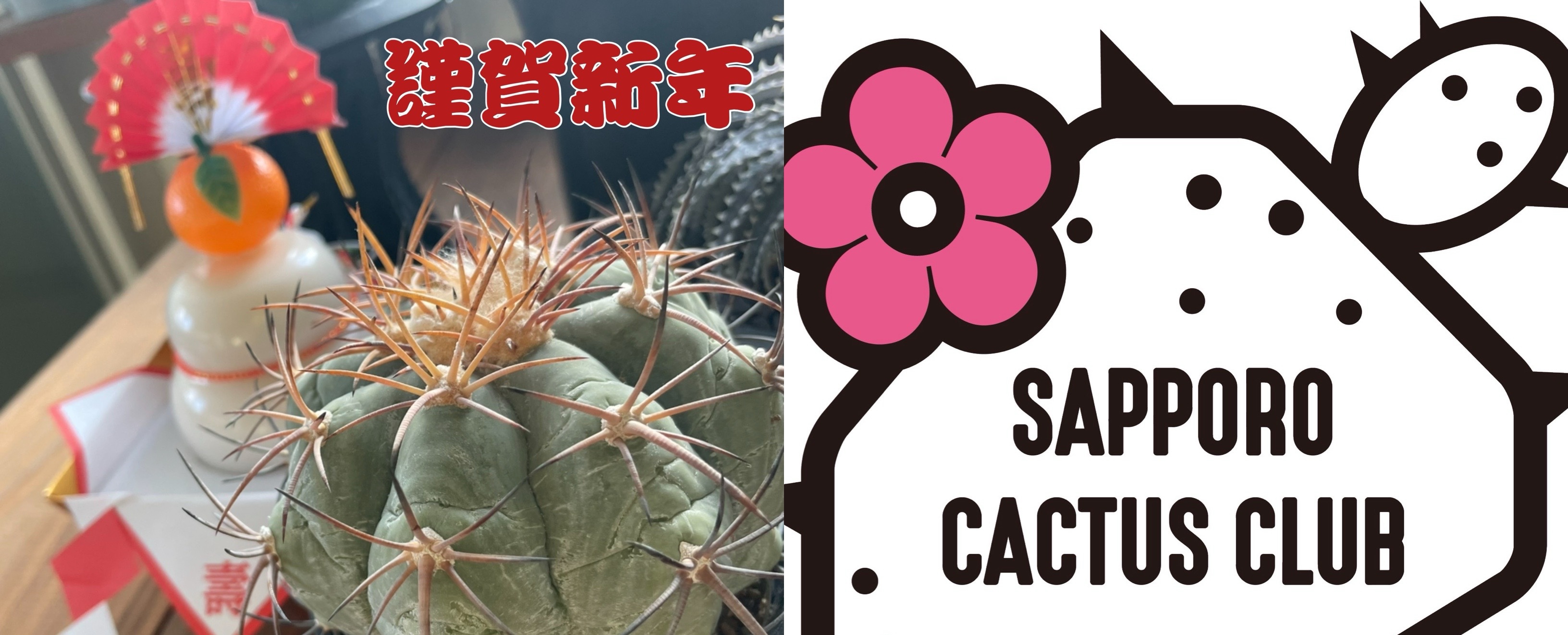2023札幌カクタスクラブイベント情報 | sapporocactusclub's Ownd