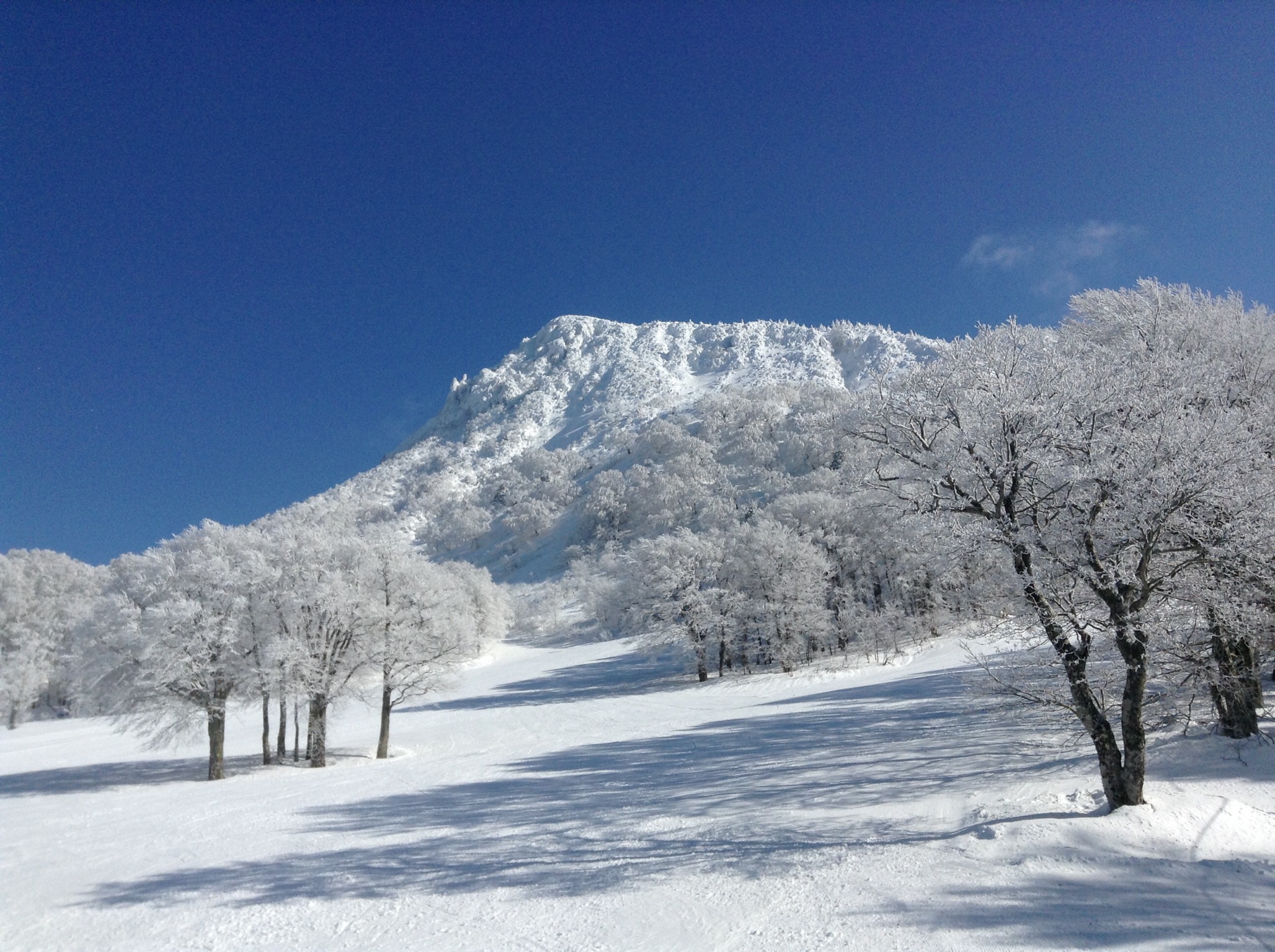 Zao International Ski School