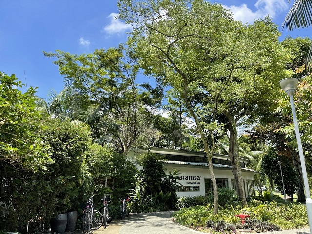 緑溢れる公園のカフェでランチ＠Canopy Bishan | モンスーンに吹かれて ~ Living in Singapore~