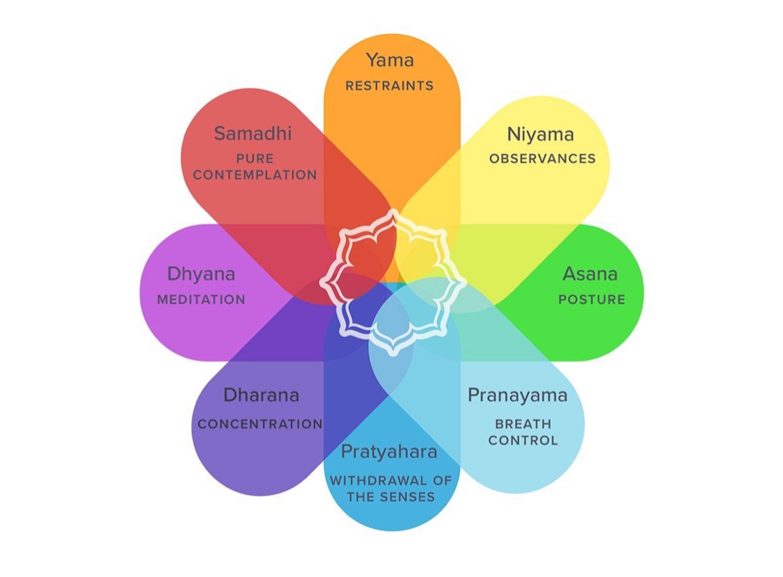8 Limbs of Yoga | Ashoka Yoga