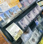 シズカPコラボCD＠TSUTAYA 東長崎店 | Kara P Satellite📡