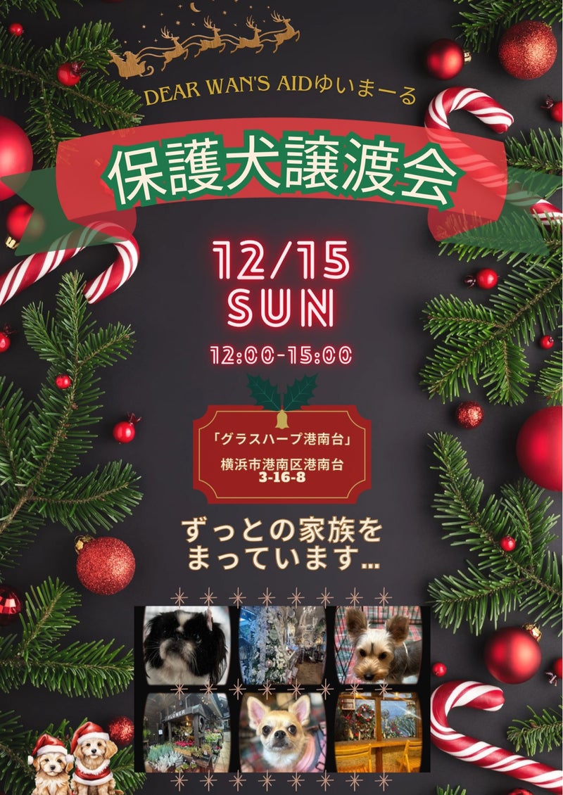 譲渡会のお知らせ＠グラスハ－ブ港南台 | Dear Wan's Aid ゆいま～る