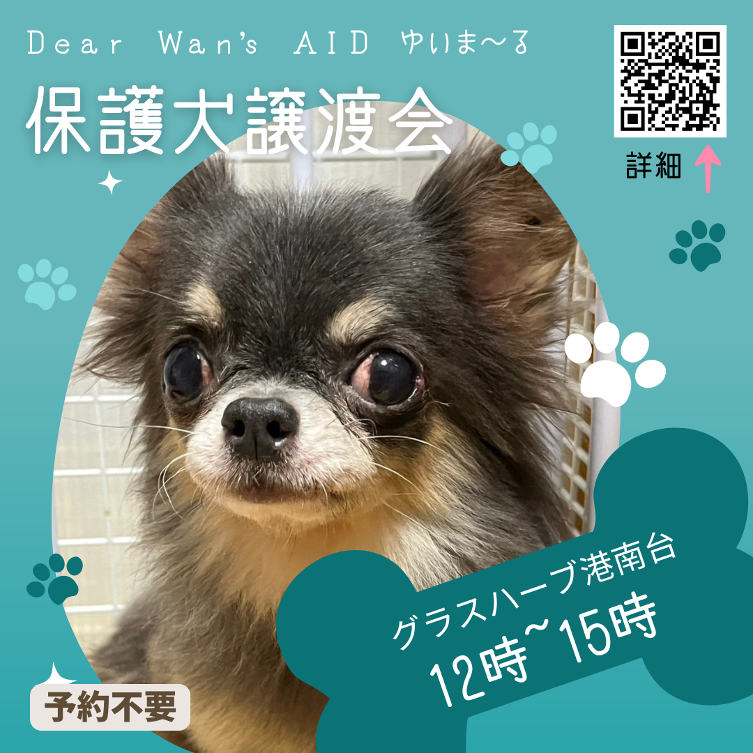 譲渡会のお知らせ＠港南台グラスハーブ | Dear Wan's Aid ゆいま～る