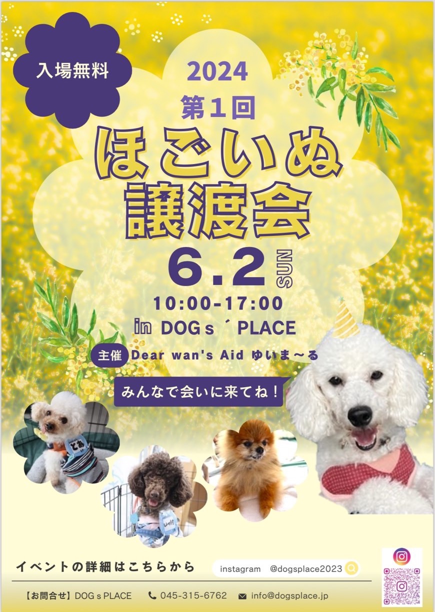 伊勢佐木町[DOGs’PLACE]譲渡会 | Dear Wan's Aid ゆいま～る
