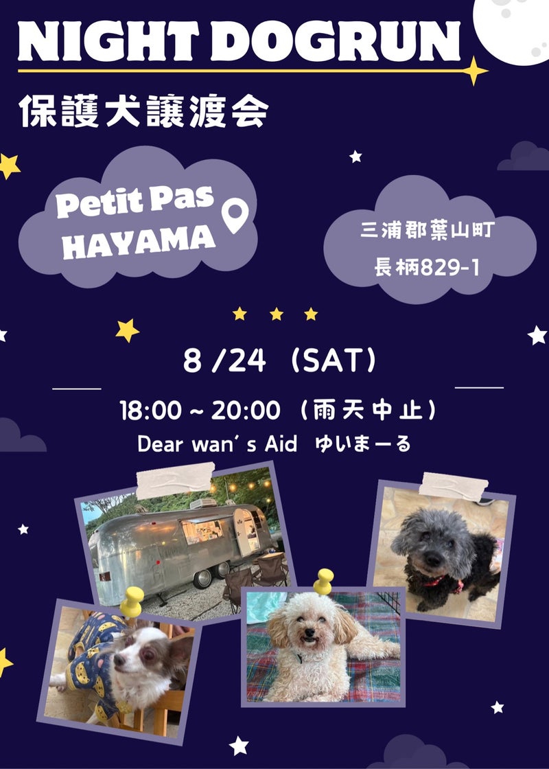葉山譲渡会＠Petit Pas HAYAMA | Dear Wan's Aid ゆいま～る