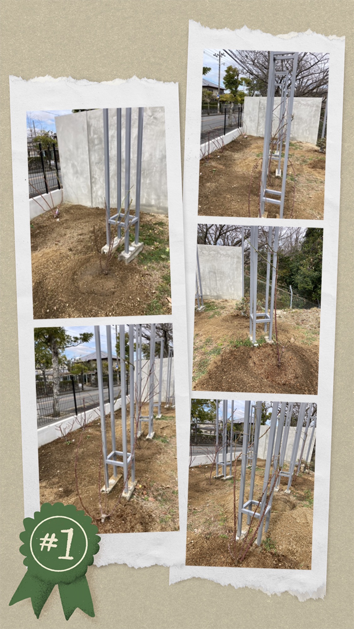 今池です | K's Garden