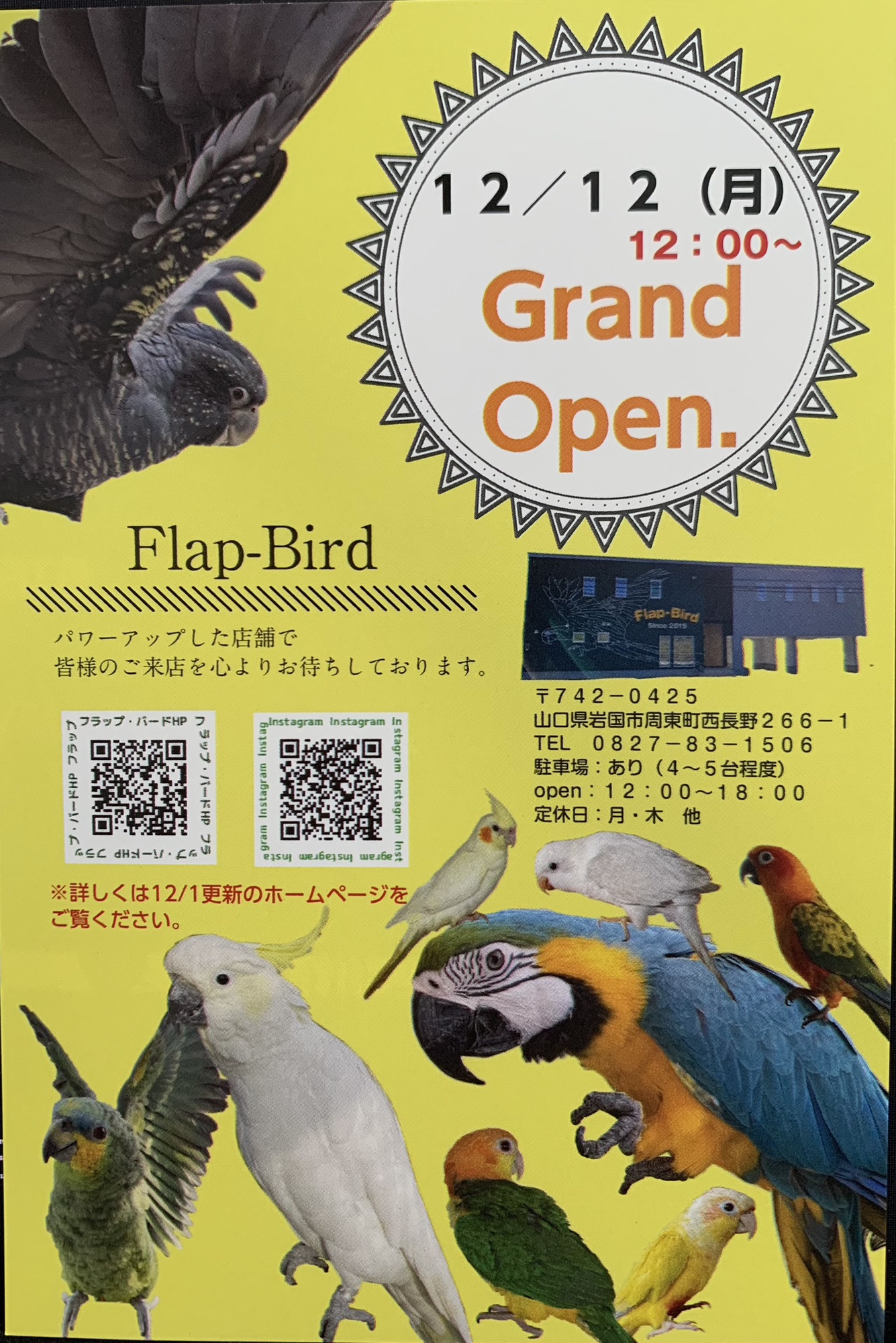 12月12日 12時オープンです | Flap-Bird