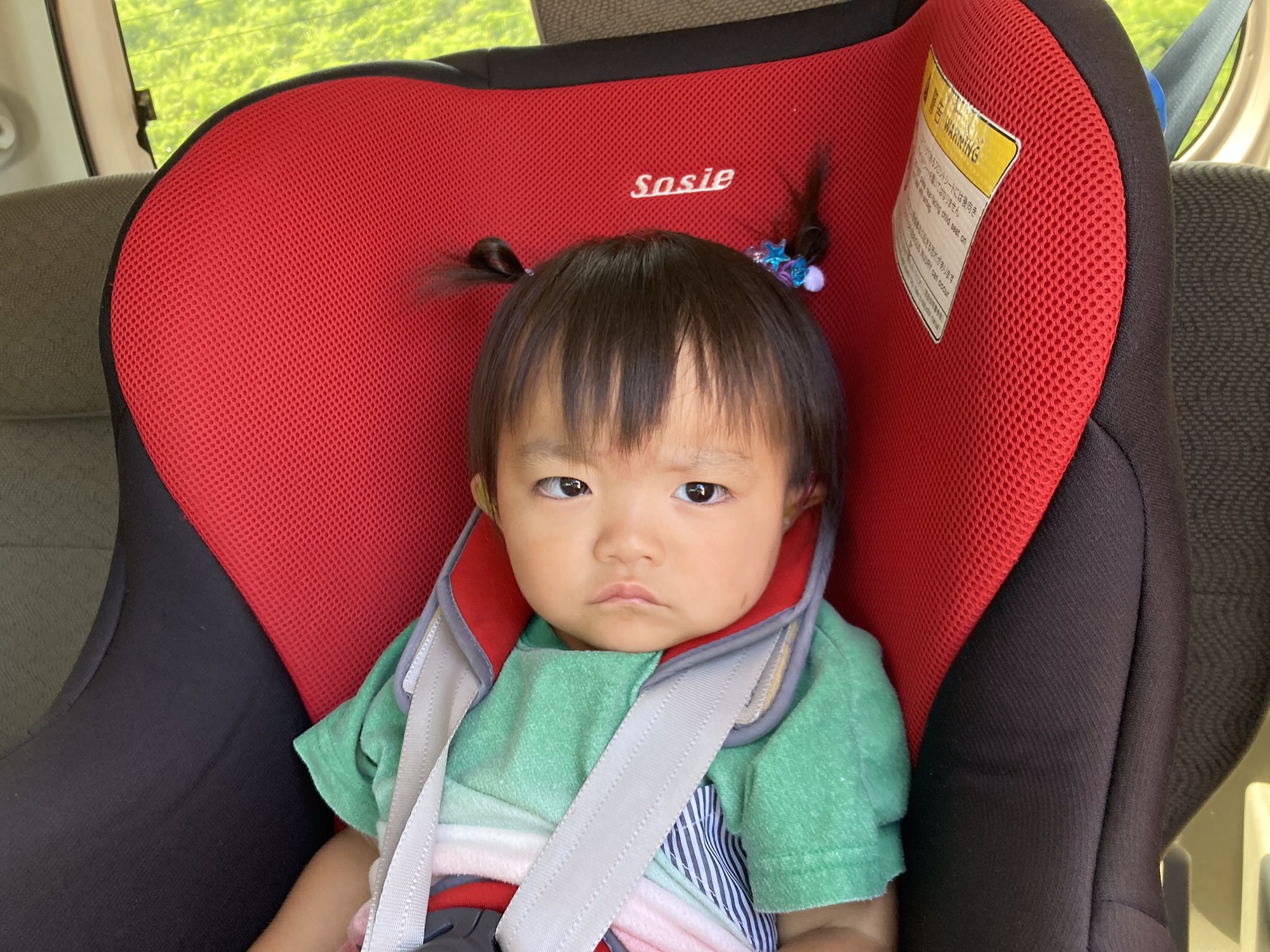 今日のCOCO 広場へGO🚘 芝遊び🍃 | 児童発達支援事業所 coco / ito 相談支援事業所 nico