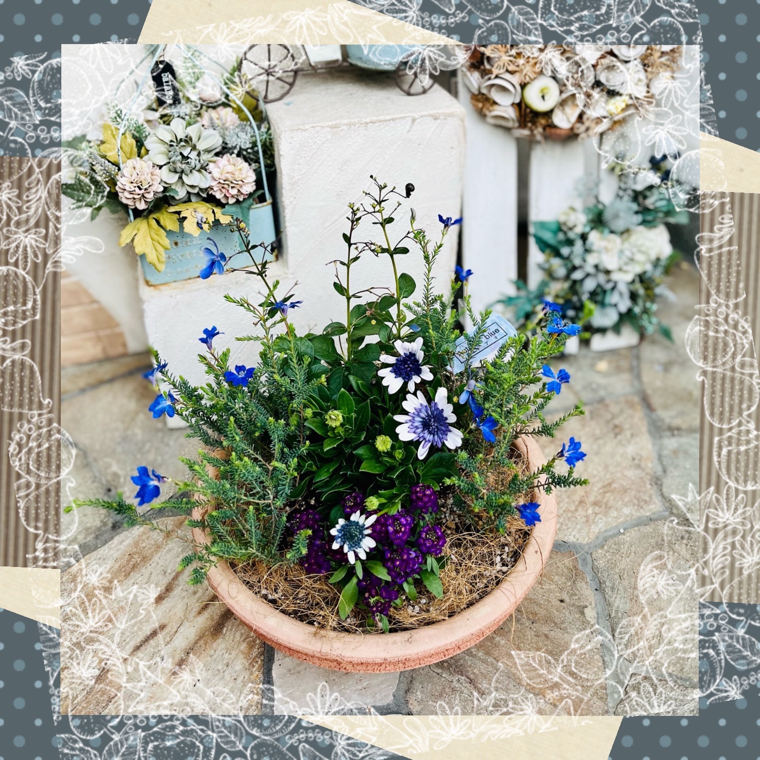 初めてレッスン🎶 | しのん's がーでん