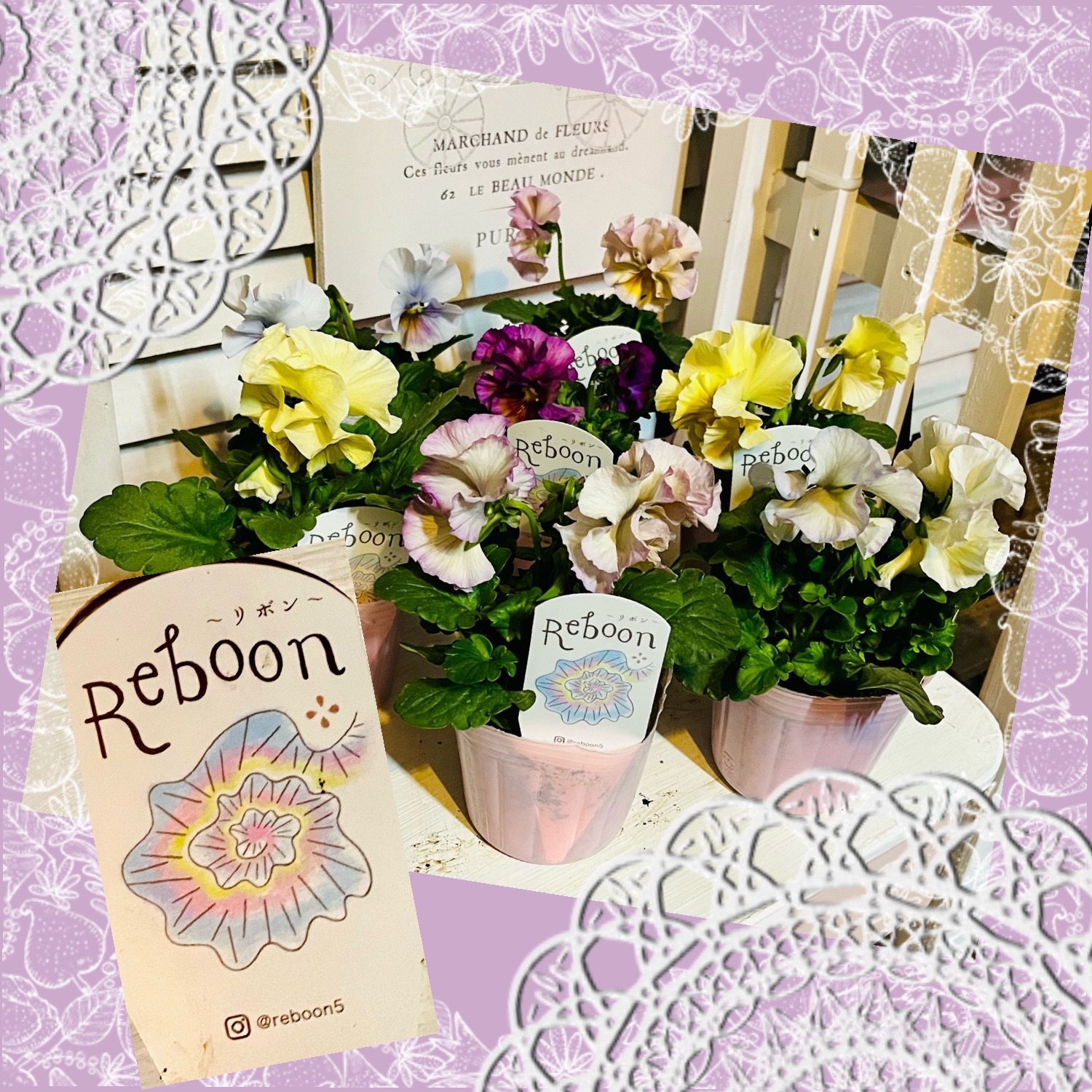 今日も仕入れに行ってきました🚗 Reboonが届きました💓 | しのん's がーでん