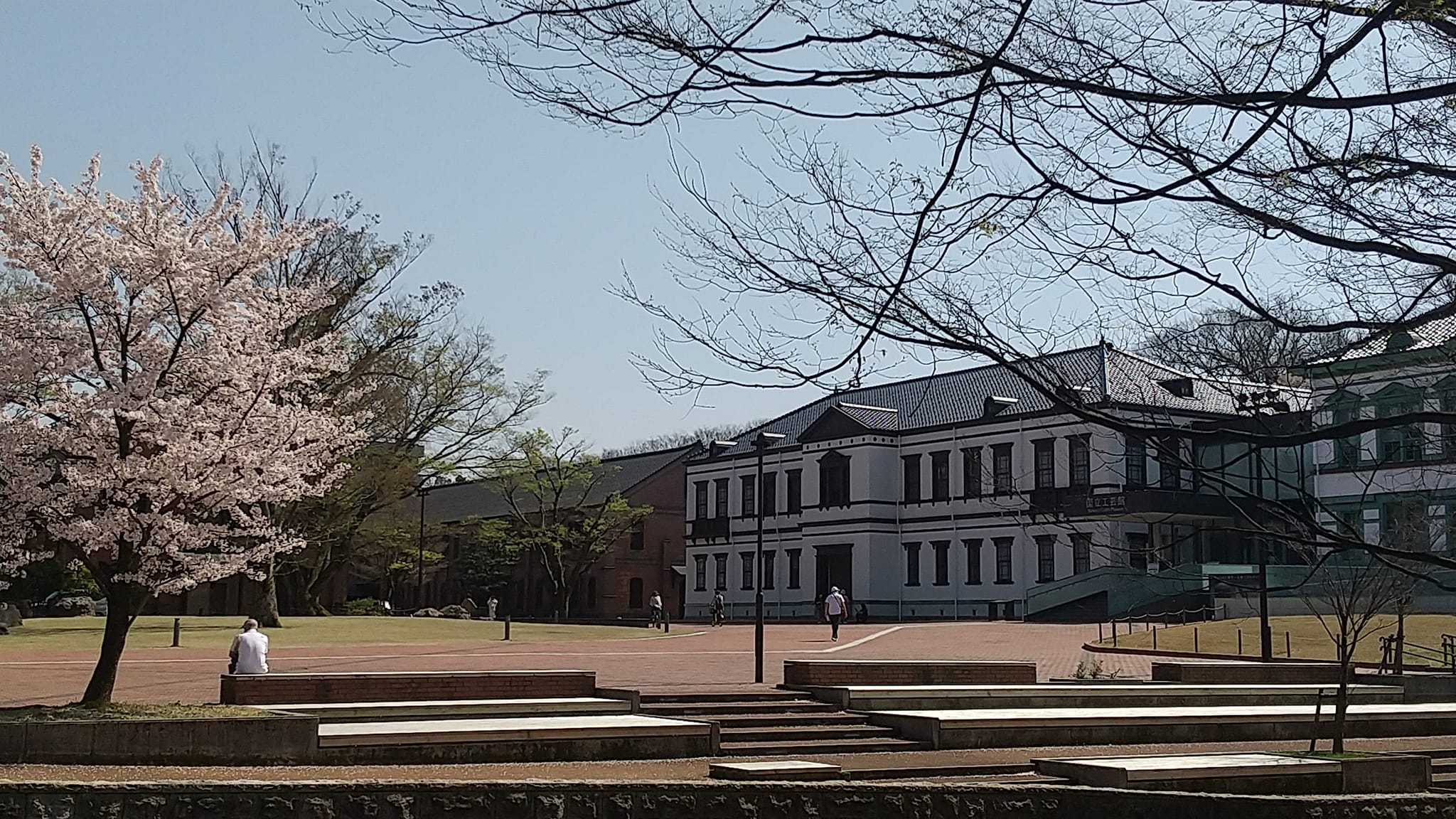 Hondanomori Park | JAPAN LOCAL VIEW