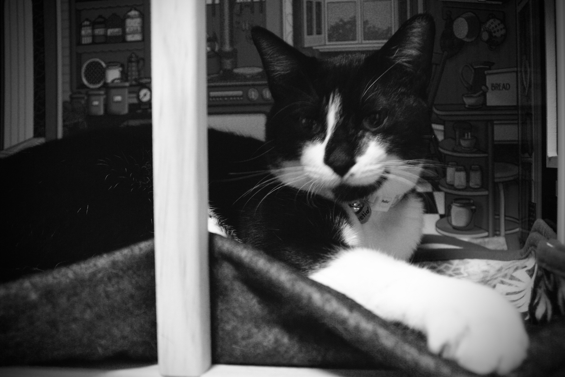 Dusk of a day 001 | hitoshina