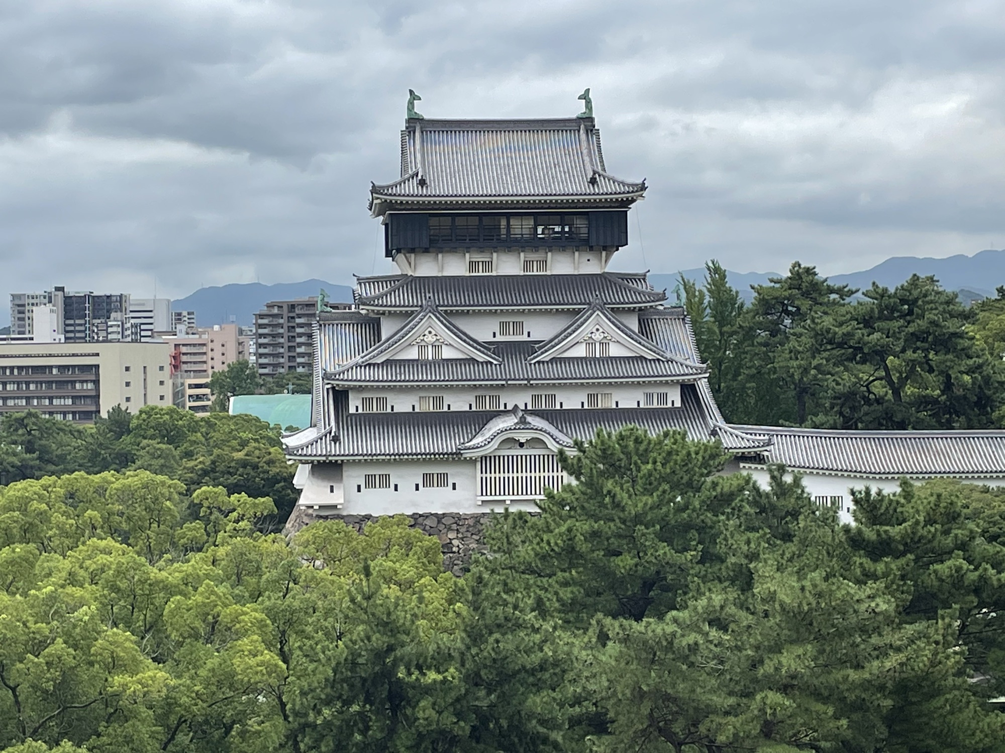 来年の | Hisako SUGIOKA