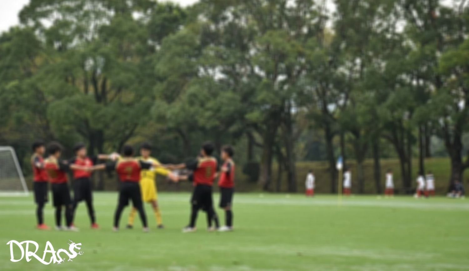 KAGOSHIMA DRAGON FC