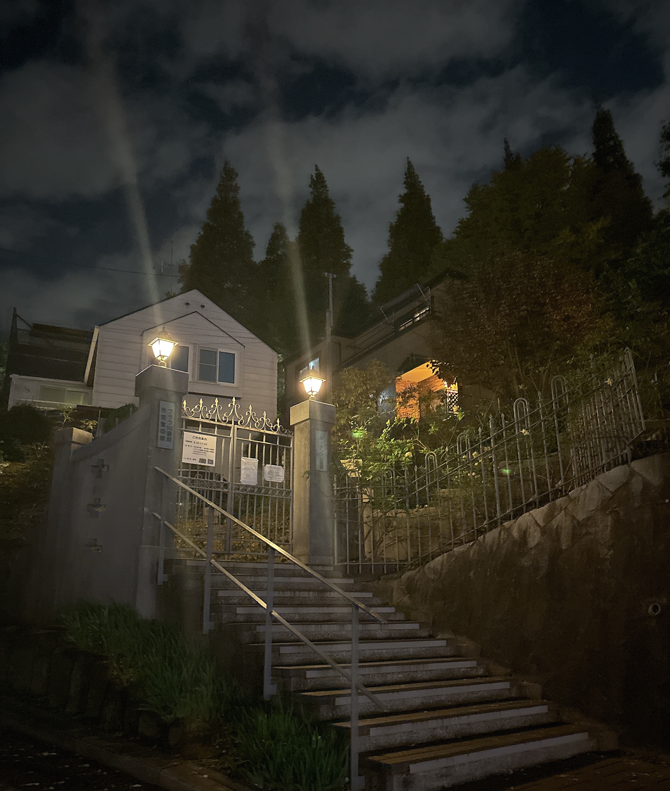 journal 2025-11-④ | チェリーハイツ