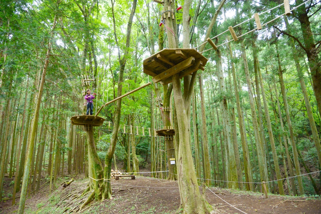 About us / Access | Tree Cross Adventure