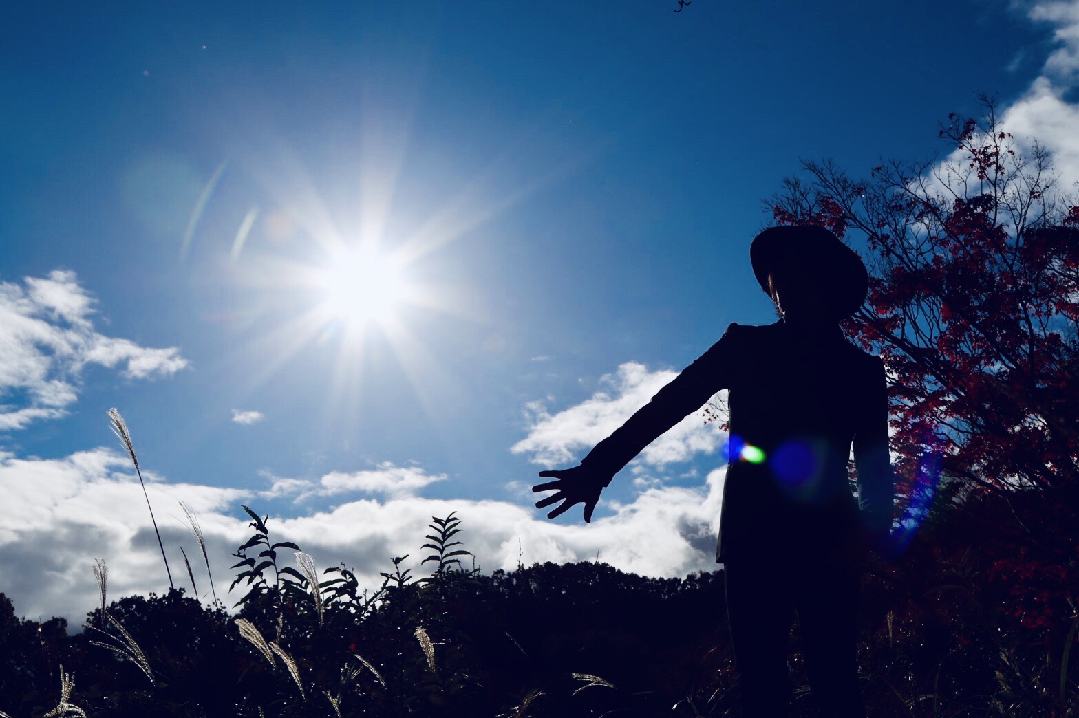 1/12 YUSUKE ANDO LIVE | YUSUKE ANDO OFFICIAL WEB SITE