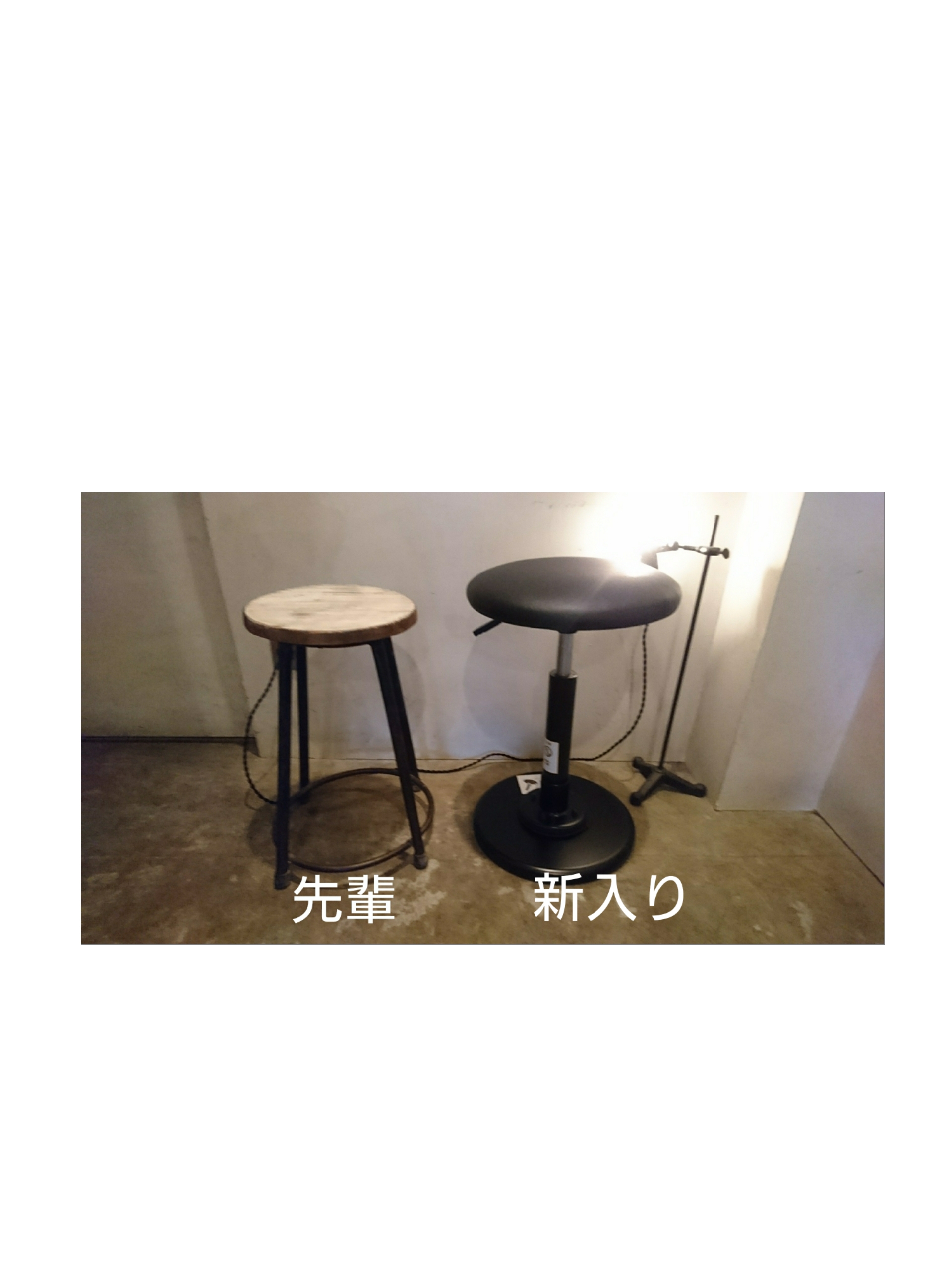 新しい仲間が増えました | cotoco