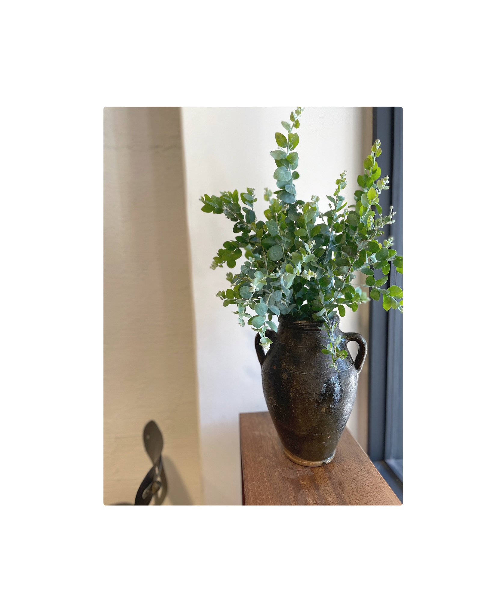 素敵な頂きもの。 | cotoco