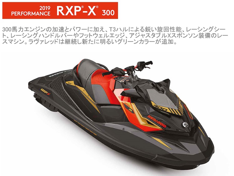 2020 RXP-X 300 | POWER SPORTS LINEUP｜SEAGETS