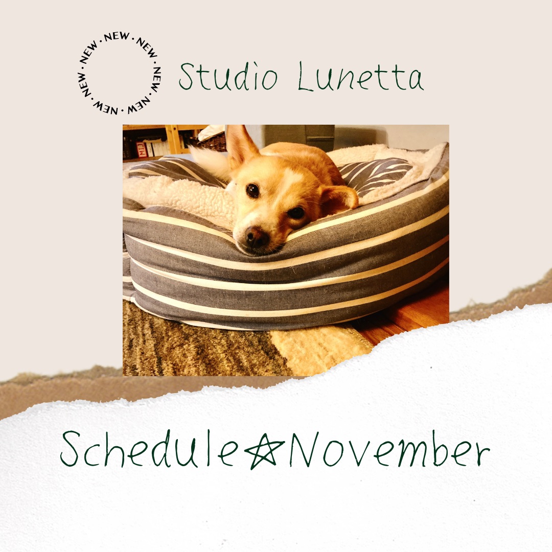 11月レッスンスケジュール | Studio Lunetta