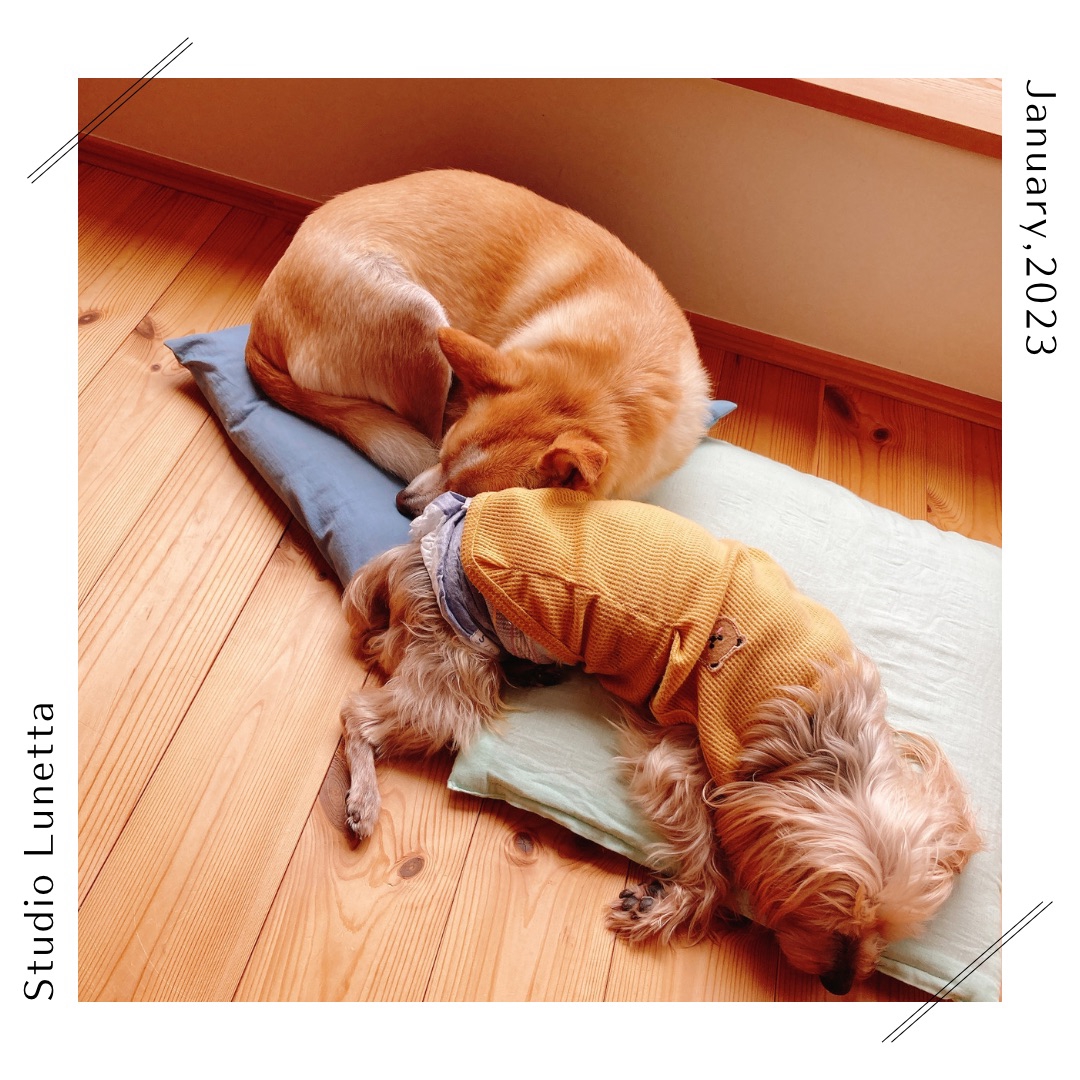 2023年1月スケジュール | Studio Lunetta