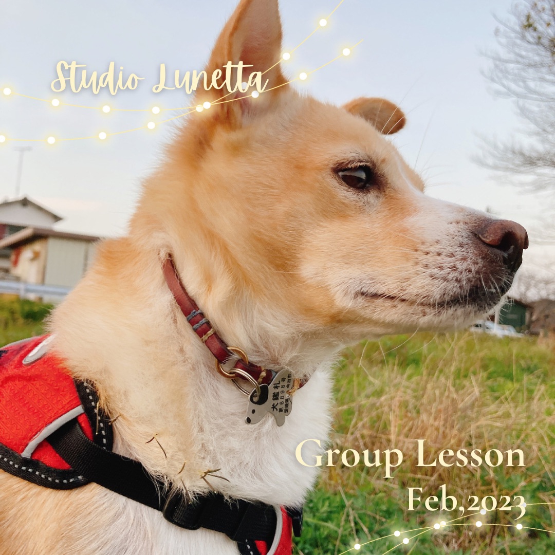 2月スケジュール | Studio Lunetta