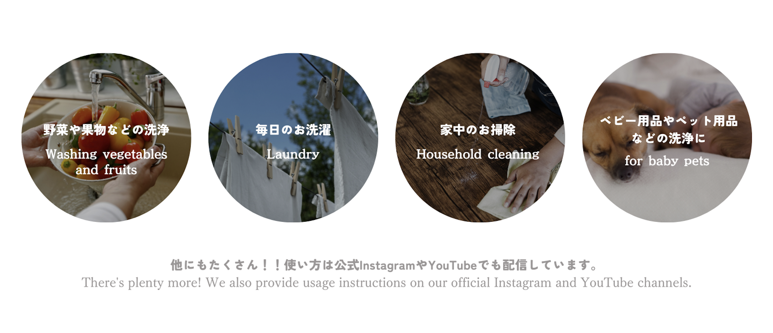 How to use | 618 scallop powder