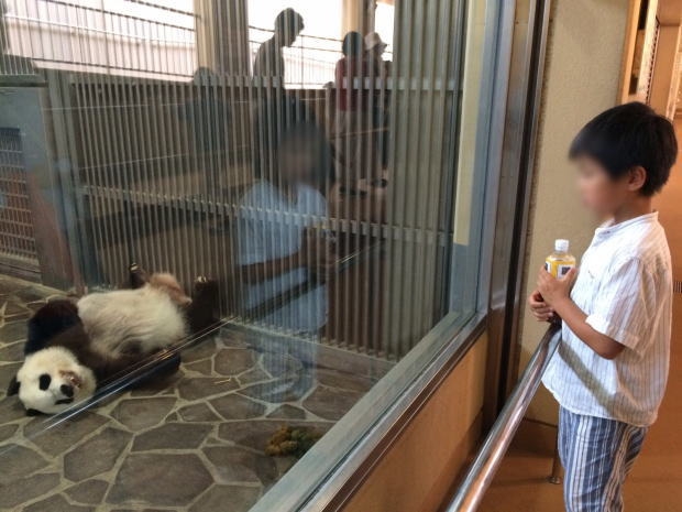 神戸市立王子動物園 | KANSAI asobiba