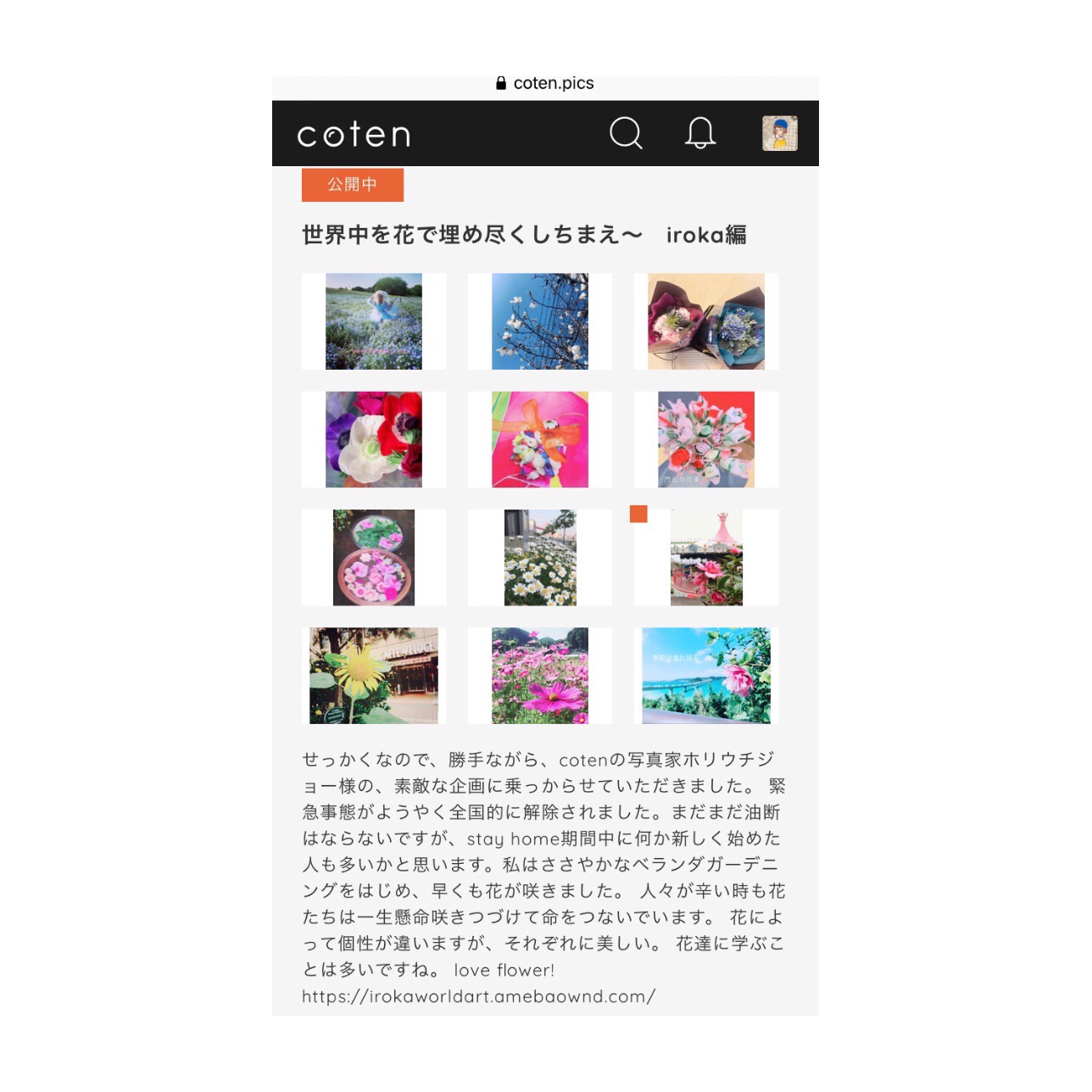 オンライン写真個展〜世界中を花で埋め尽くしちまえ！ | iroka studio art official web site ( Kaori SAKAGUCHI)