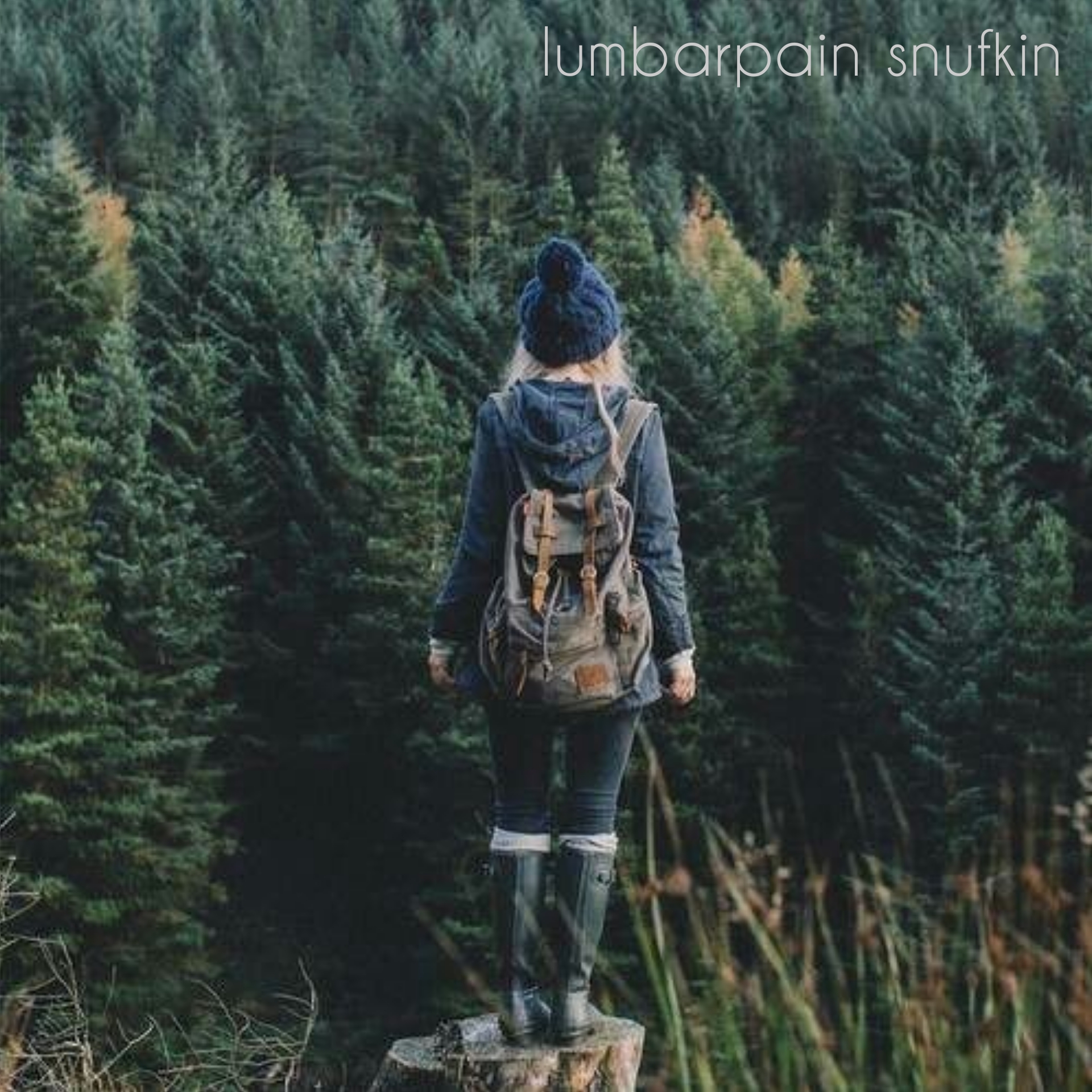 Without haste, but without rest. | I'd love to see you again