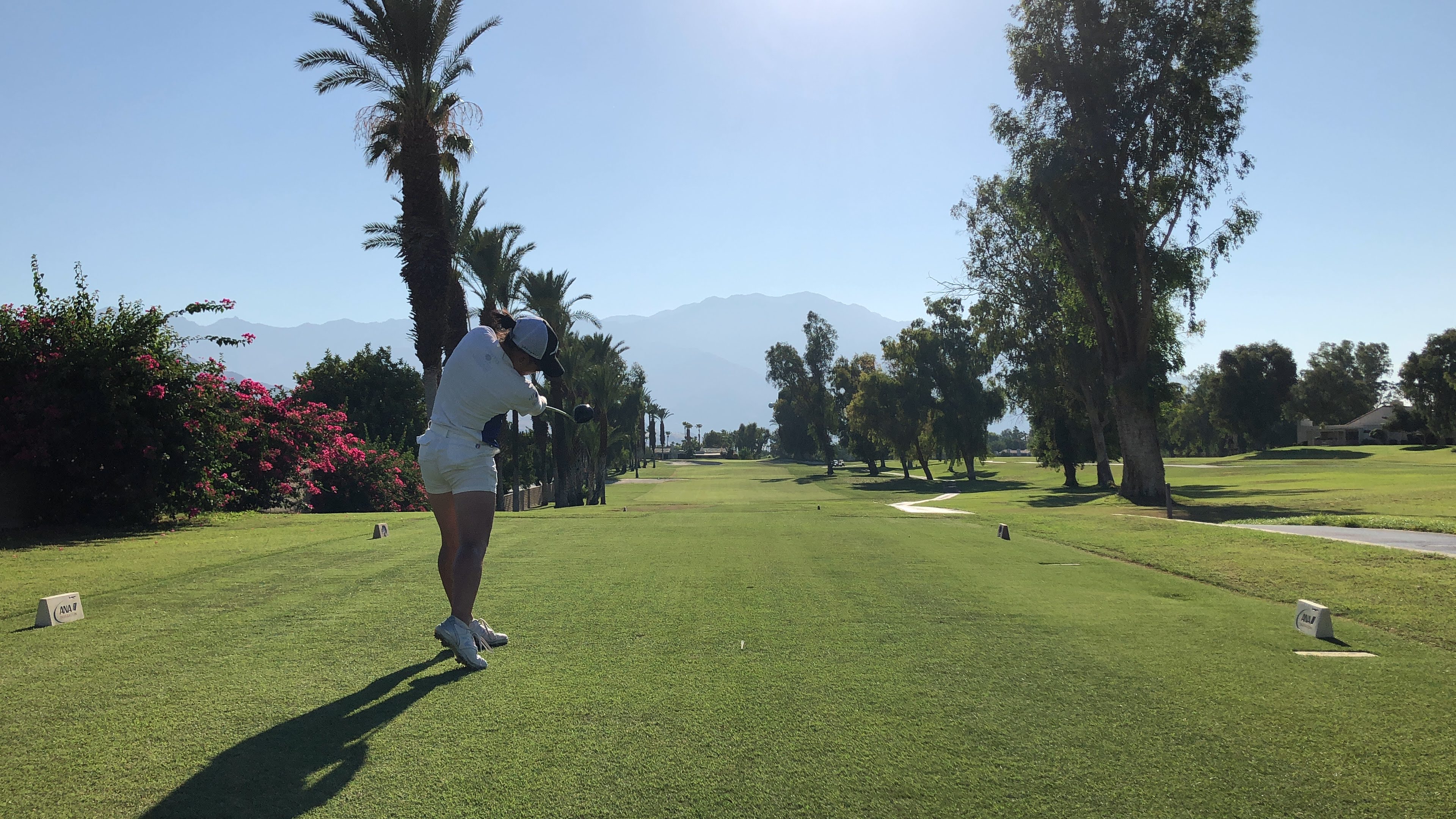 RIO KIKUCHI Official Site