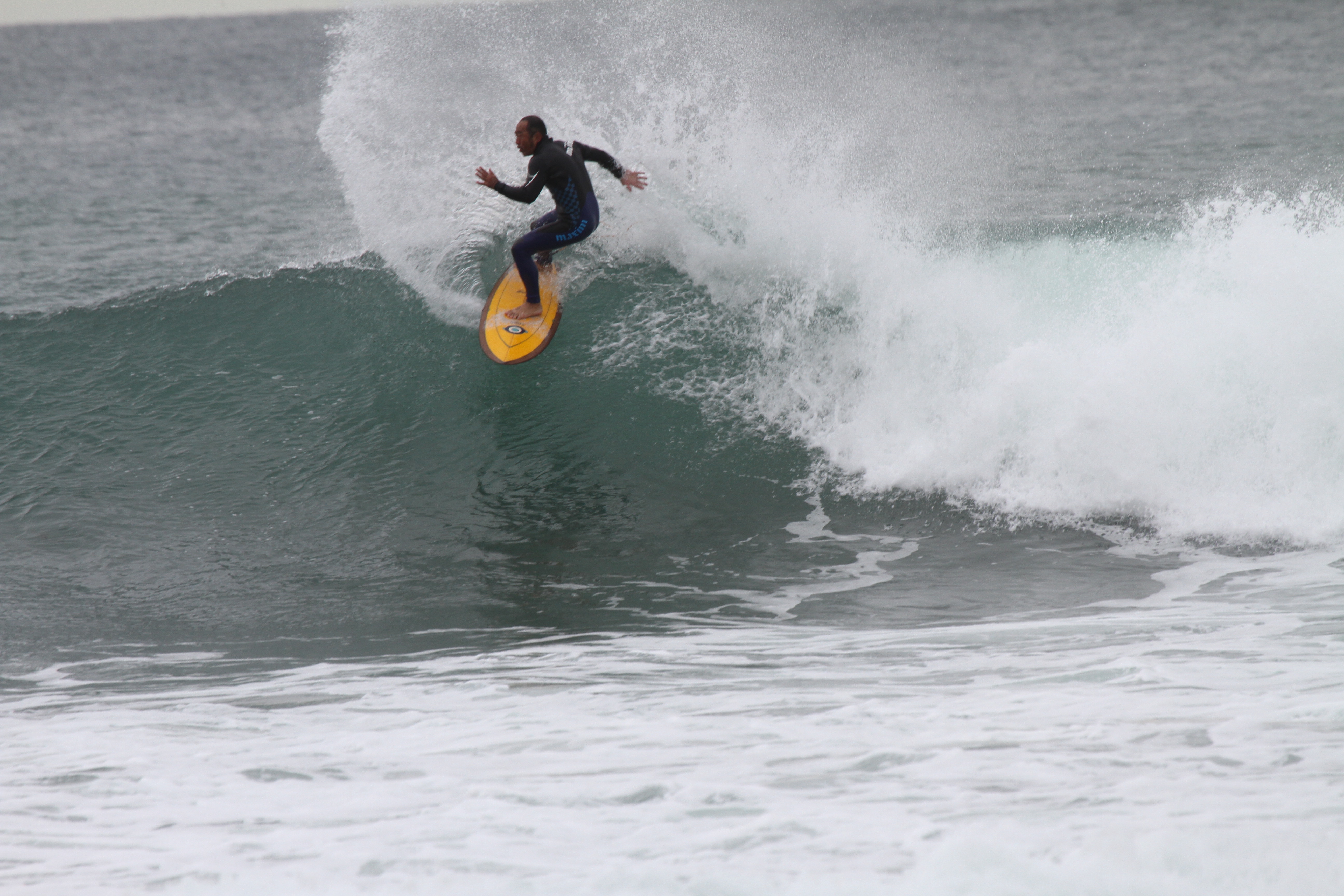 ANGEL FISH | TRUE SURFBOARD