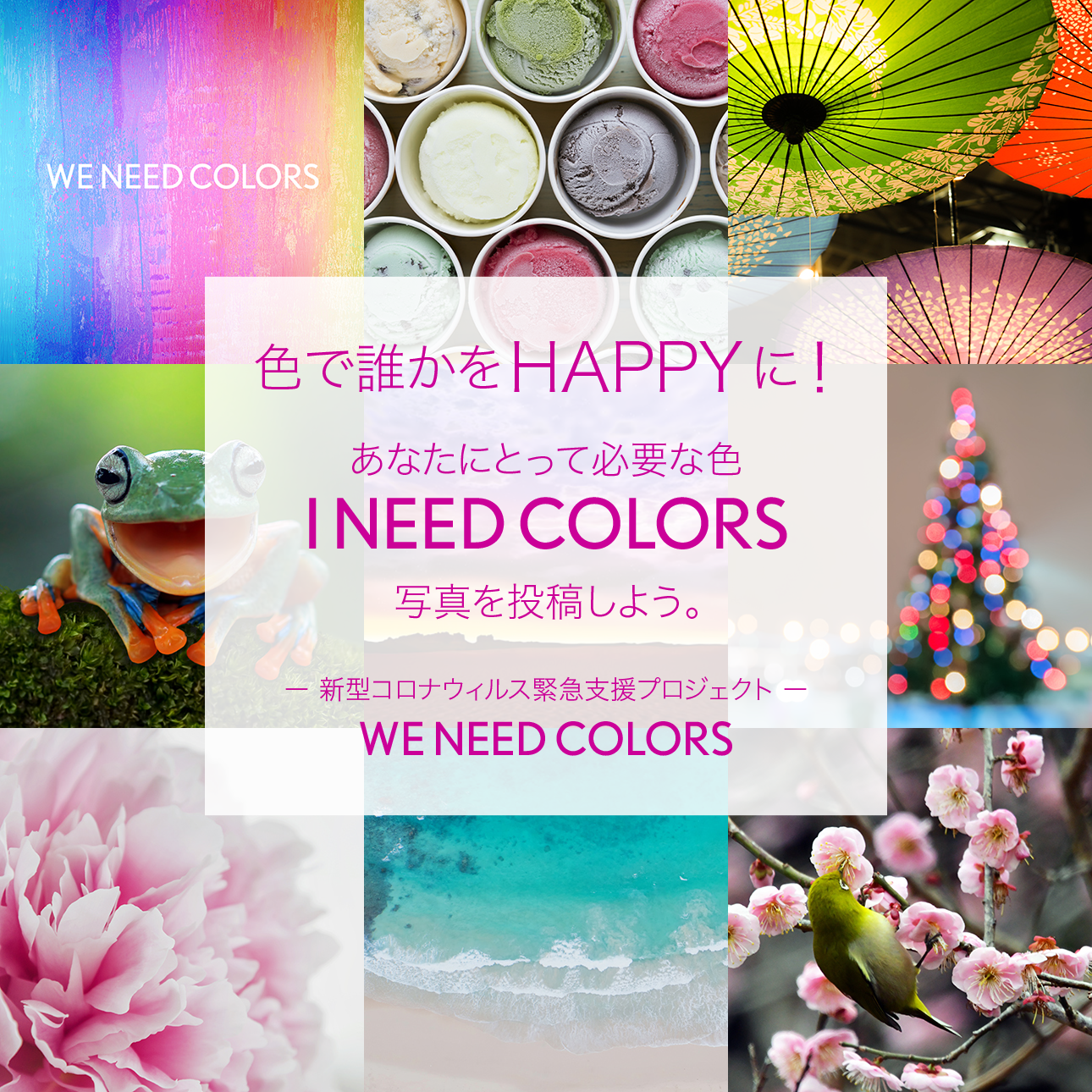 あなたにとって必要な色”I NEED COLORS”を、Instagramでシェアしよう！ | SIKISAI SEIKATSU｜色彩生活 ...
