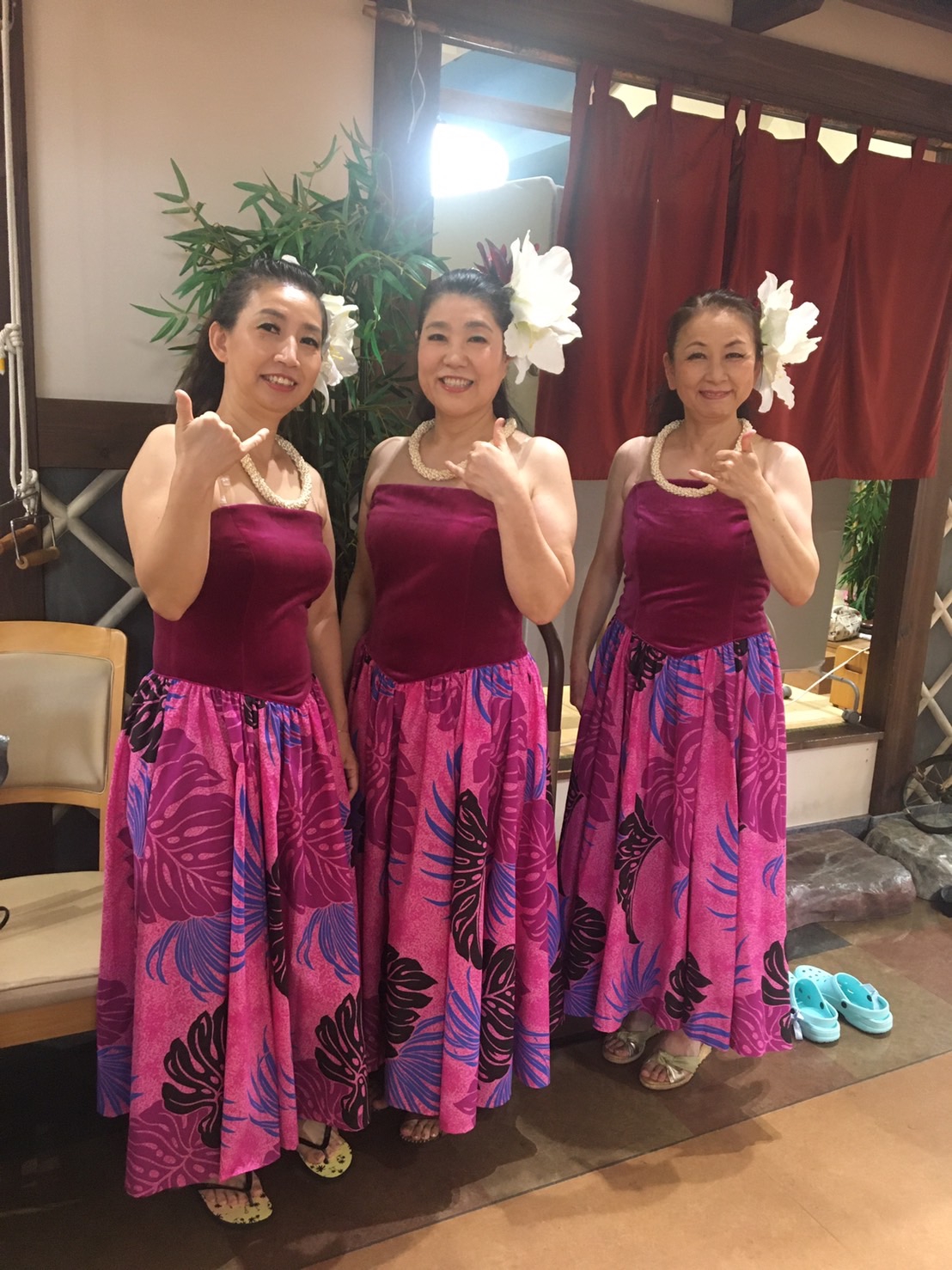 ボランティア | 愛媛県松山 プルメリア フラダンス 教室