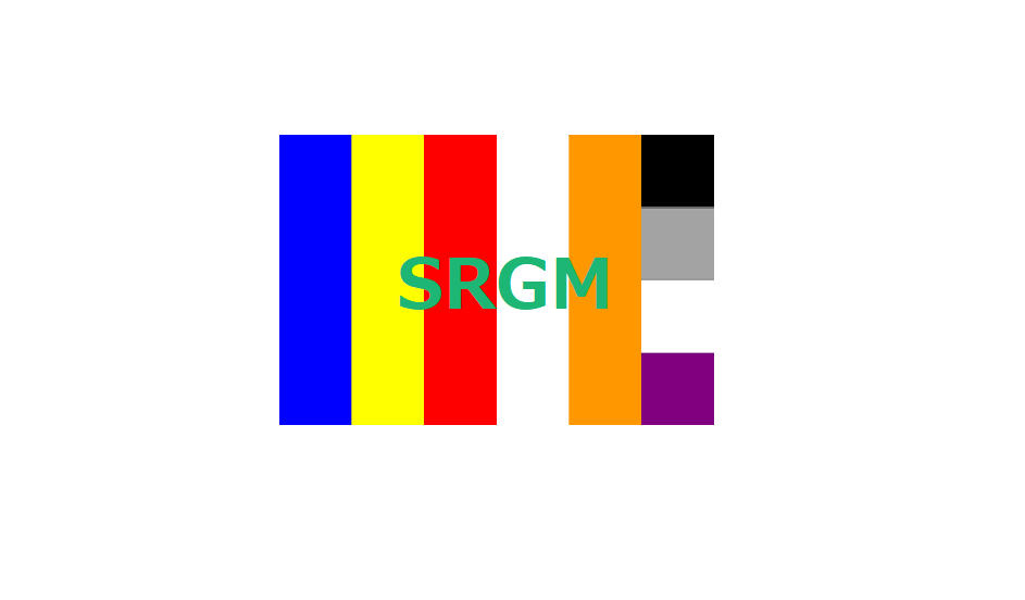 活動報告等 : ページ2 | 日本SRGM連盟