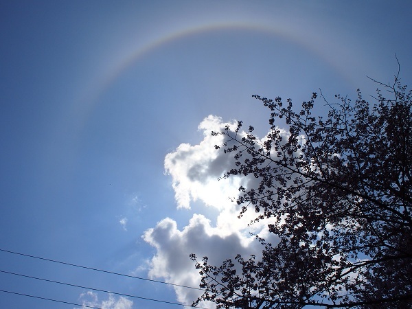 光？虹？ | Moon's Ownd