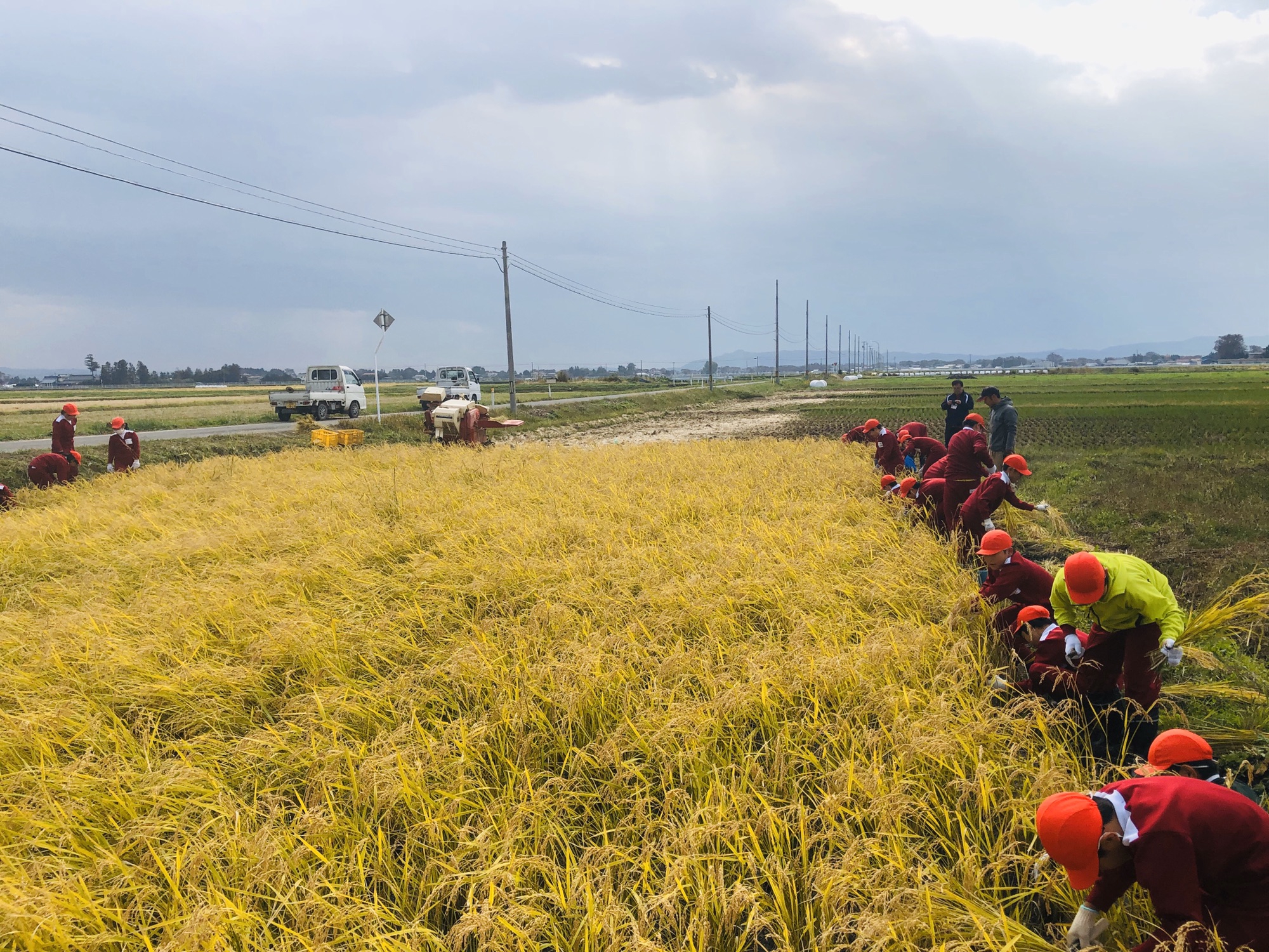 収穫の喜びをっ🌾 | Tome Rice Service.