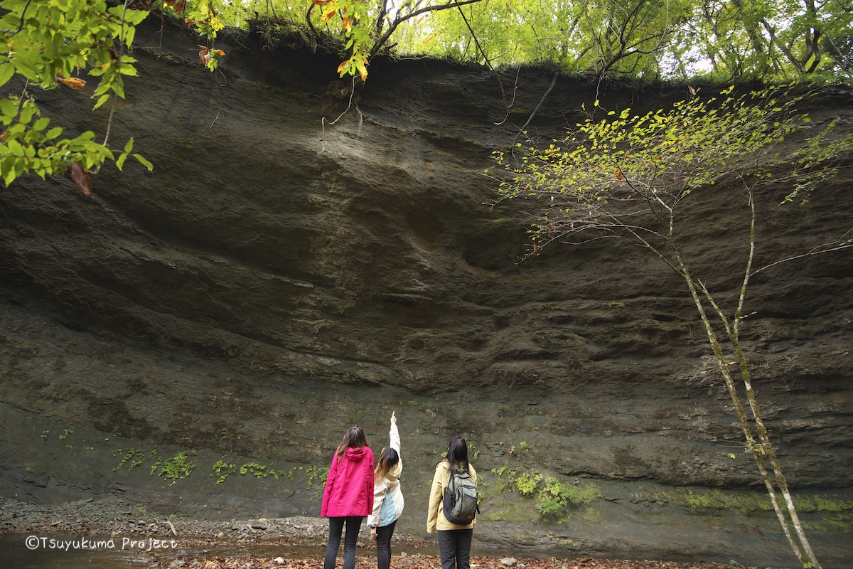 秋田犬ツーリズムの皆さんをご案内しました | 露熊プロジェクト TSUYUKUMA PROJECT