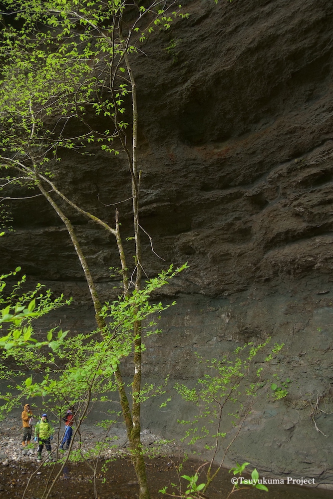 露熊プロジェクトとは | 露熊プロジェクト TSUYUKUMA PROJECT