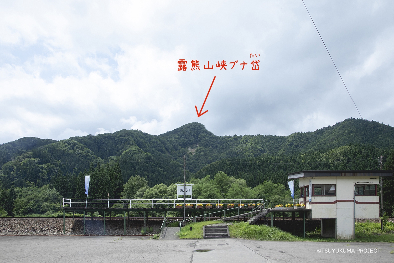 露熊山峡 ブナ岱（たい）登山道 | 露熊プロジェクト TSUYUKUMA PROJECT