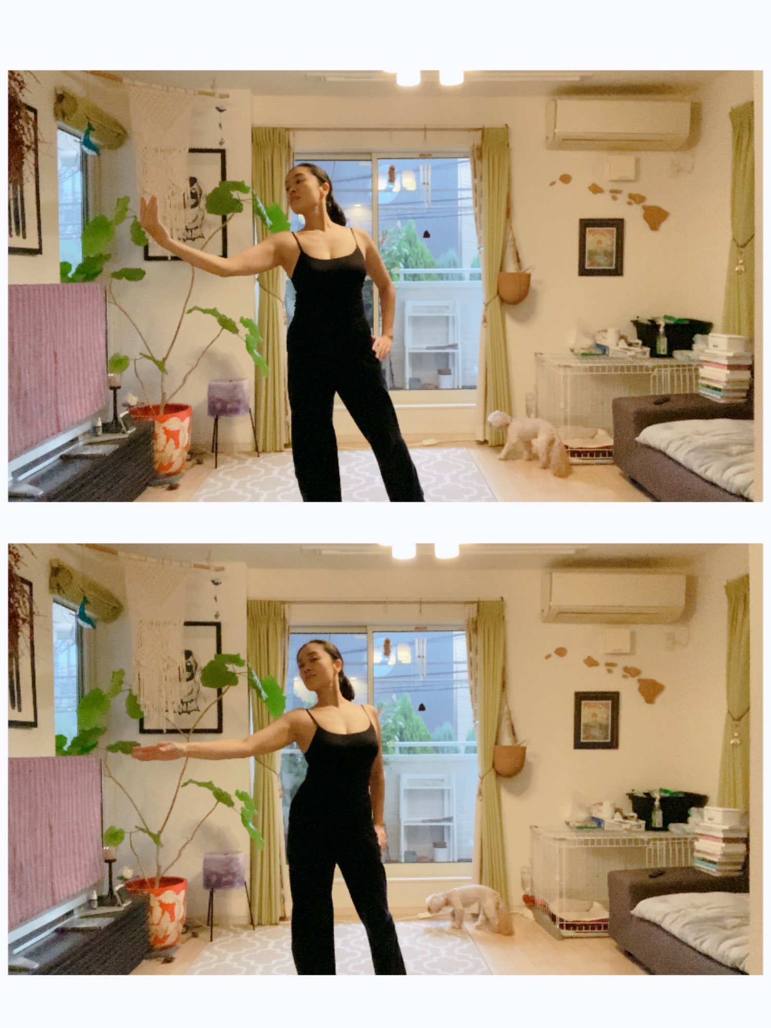 一瞬の隙もない、フラを目指して。 | Kawaiʻulaokalā Iāpana KA HULA LINO NĀ HŌKŪ 歌うフラ&ウクレレ教室