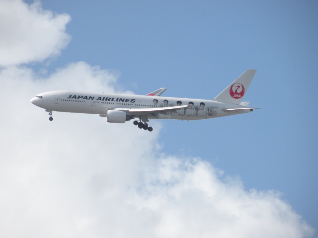 JALの鶴 | あまぐりきっちん